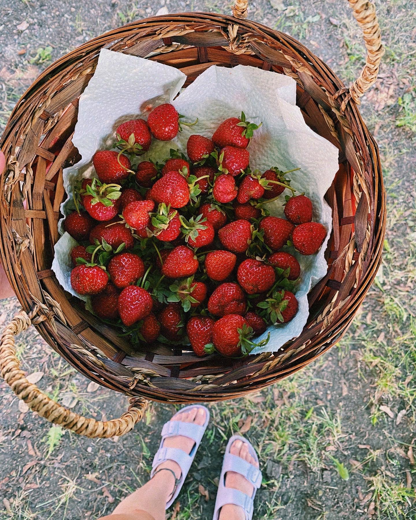 How to Stay Productive in the Summer: A Realistic Guide - Living ...
